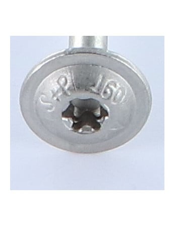 Vis charpente tête disque Inox A2 8X100 Filetée sur 80 TORX T40 Diamètre de tête: 20