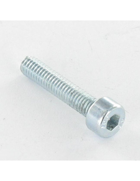 Vis métaux CHC BTR M8X40 Filetage total Classe 8.8 Clé de 6 HC6 Acier zingué